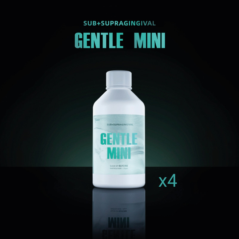 DTE WOODPECKER - Gentle Mini Powder for Air Polishing