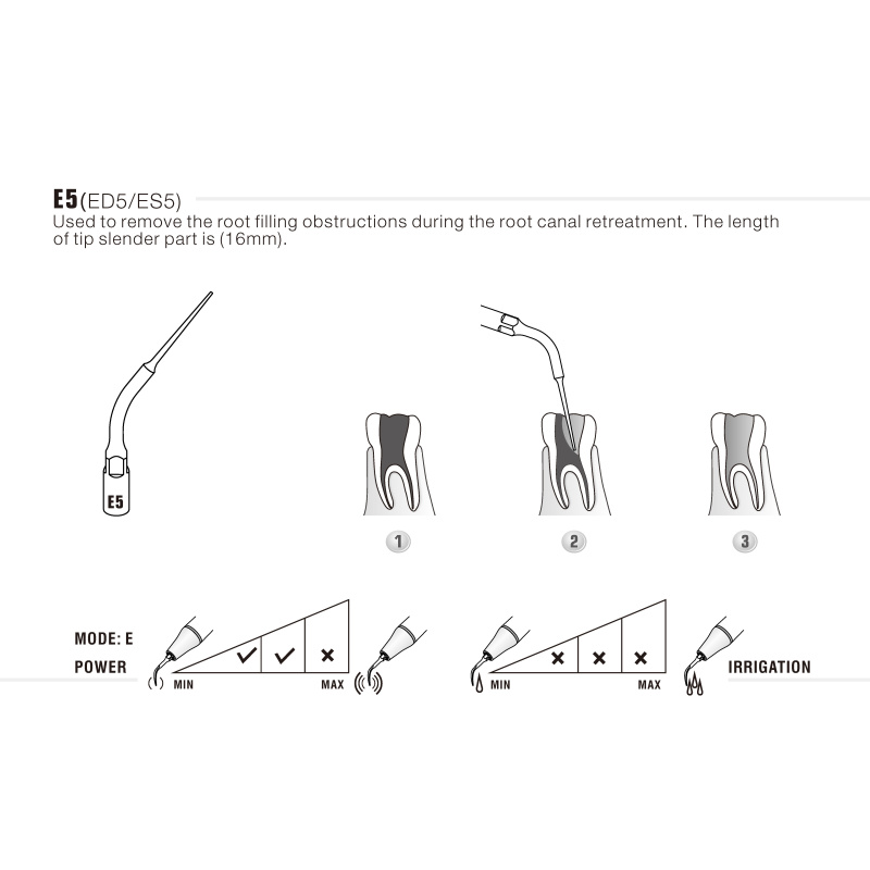 Insert Woodpecker & DTE