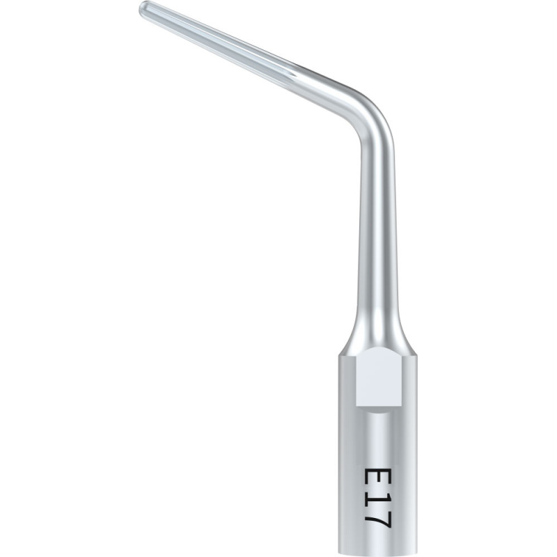 DTE WOODPECKER - Kit Retraitement Endo - Inserts ultrasons compatibles ...