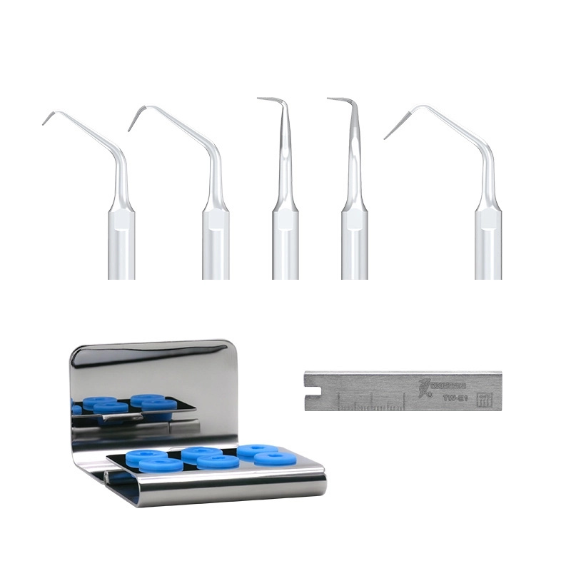 DTE WOODPECKER - Kit Chirurgie Apicale compatible SATELEC® ED19D ED20D ...
