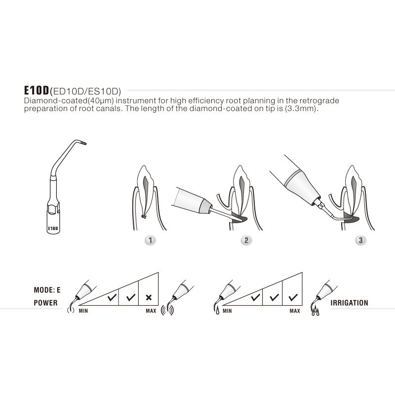 Insert Woodpecker & DTE