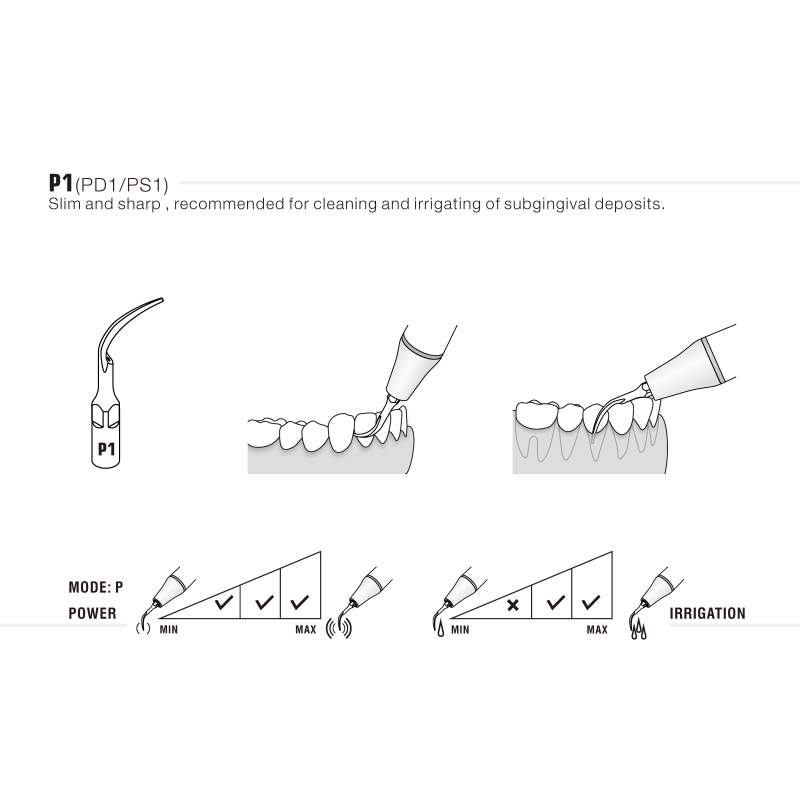 Insert WOODPECKER DTE - PD1