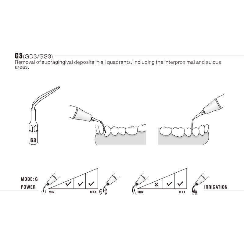 Insert Woodpecker & DTE GD3