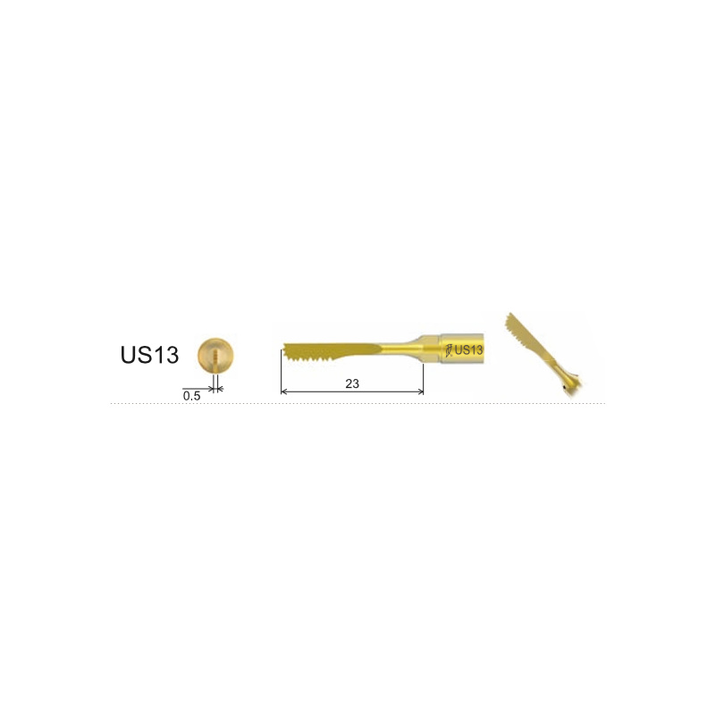 Insert Woodpecker & DTE